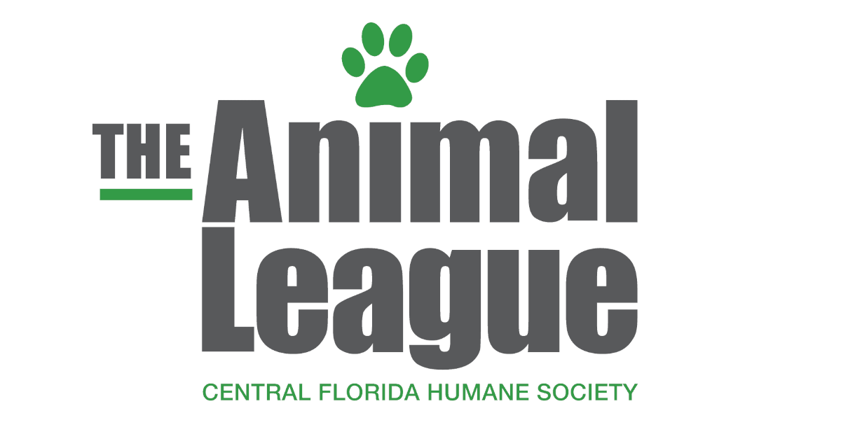 Spotlight on Adoptables at The Animal League